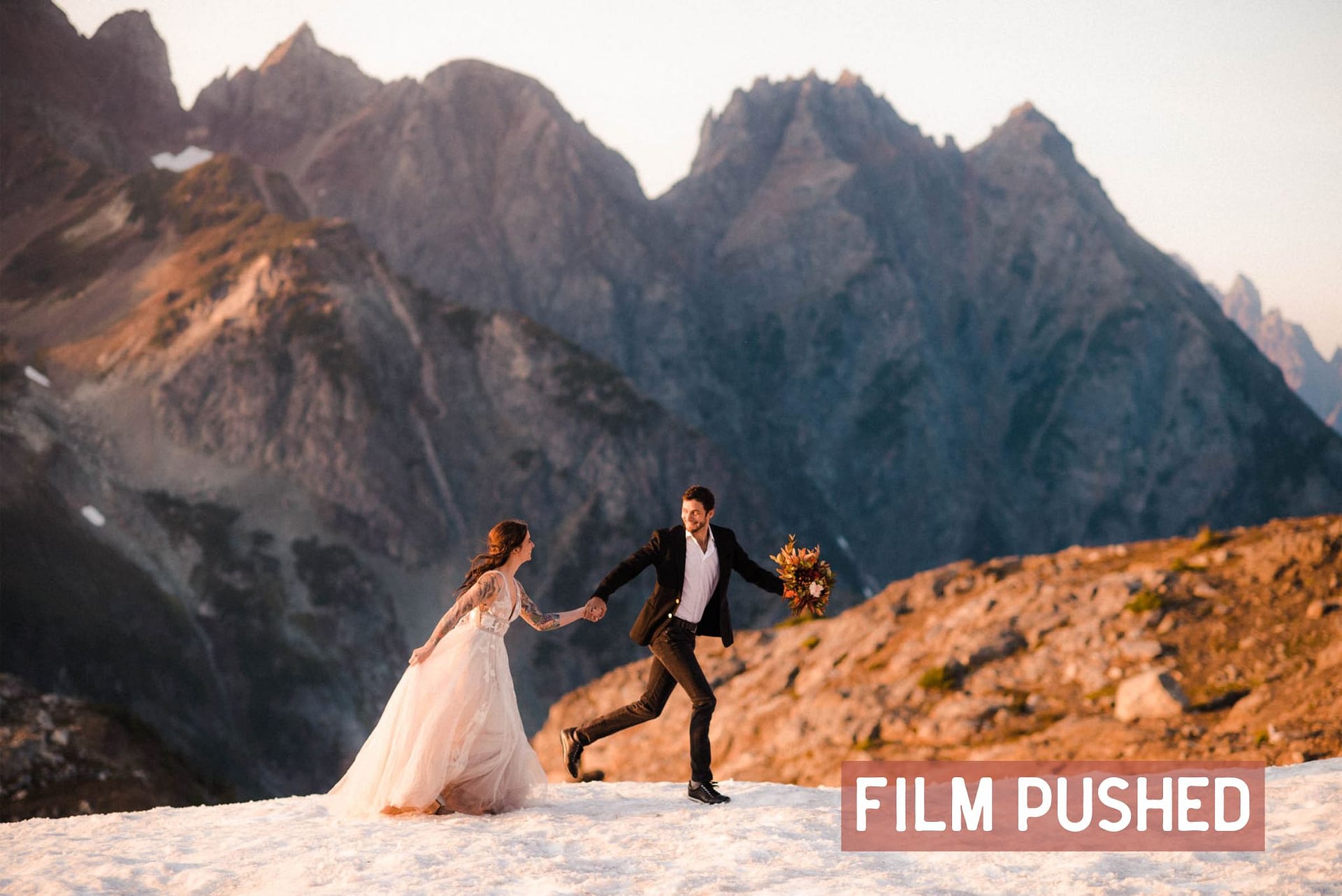 Fox Film Preset Pack - From the Foxes